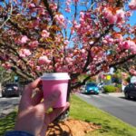 Roos, Blues & Views - Blue Mountains Day Tour w Lunch - What’s Included & What’s Not