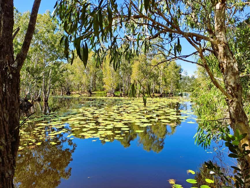 Rossville: Aboriginal Cultural Experience with Mooks - An Introduction to the Rossville Indigenous Experience
