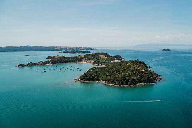 Rotoroa Island Ferry - from Auckland - Exploring the Heritage and Wildlife