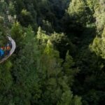 Rotorua: 6 Ziplines, 400m Tandem, Cliff Walk & Swing Bridges - Key Points