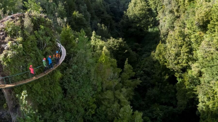 Rotorua: 6 Ziplines, 400m Tandem, Cliff Walk & Swing Bridges - Key Points