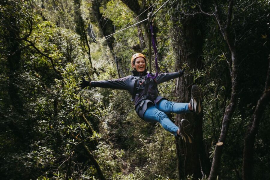 Rotorua: 6 Ziplines, Swing-Bridges & Wildlife Encounters - The Conservation Angle and Environmental Impact