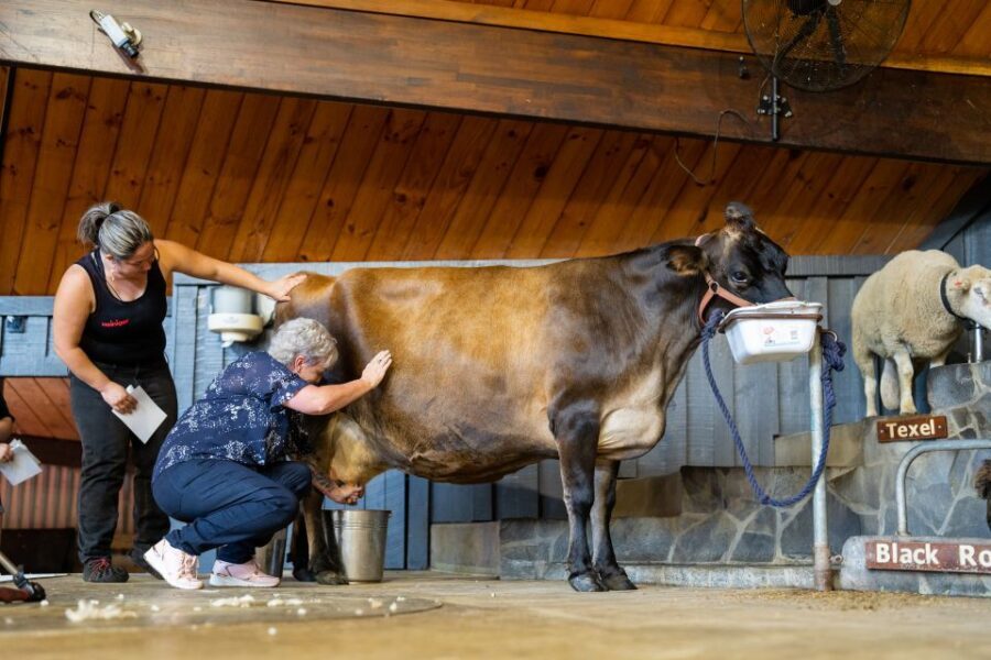 Rotorua: Authentic Kiwi Farm Experience at the Agrodome - Practical Details: What to Expect