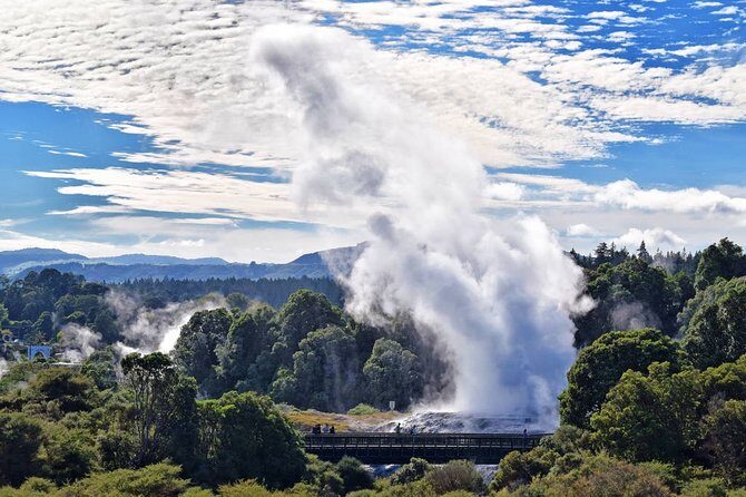 Rotorua Day Trip To Visit Te Puia Geothermal Wonderland - Overview of the Tour Experience
