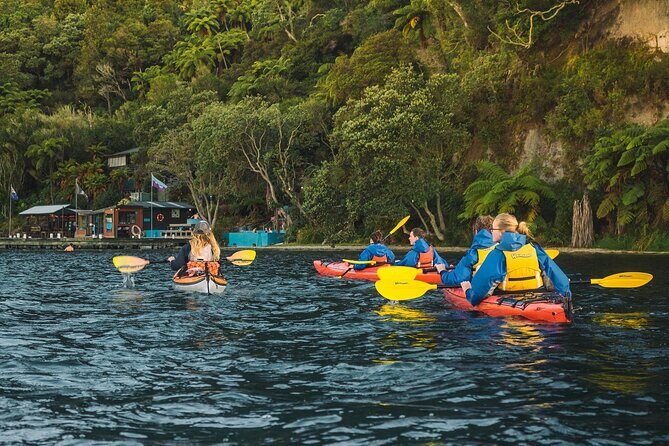 Rotorua: Daytime Scenic Lake Rotoiti Kayak Tour - Authentic Experiences and Guest Perspectives
