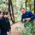 Rotorua: Explore The Lakes Half-Day Morning Tour - Who Will Love This Tour?