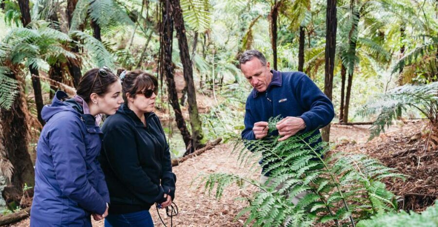 Rotorua: Explore The Lakes Half-Day Morning Tour - Who Will Love This Tour?