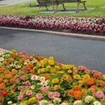 ROTORUA Highlights Tour In A Small Group - Who Should Book This Tour?