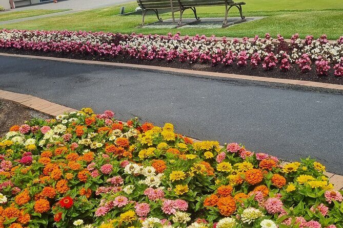 ROTORUA Highlights Tour In A Small Group - Who Should Book This Tour?