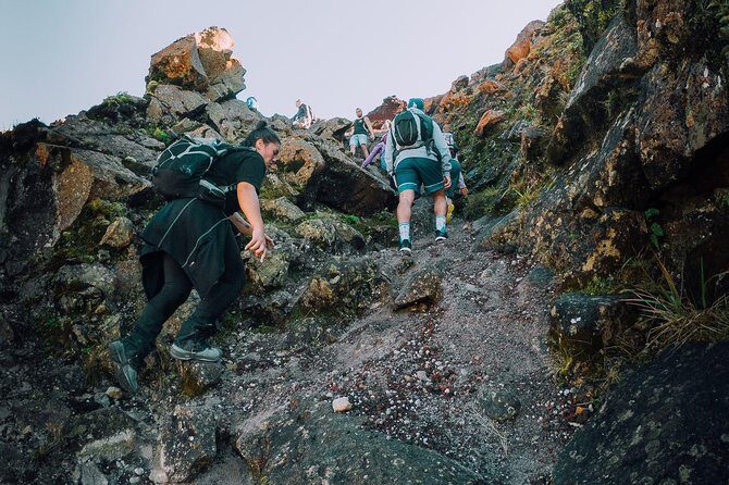 Rotorua Hiking: Mt Tarawera Guided Volcanic Crater Experience - The Sum Up