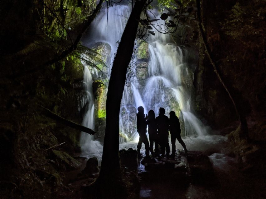 Rotorua: Nocturnal Glow-Worm Adventure Tour with a Guide - Duration & Fitness Level
