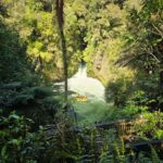 Rotorua: Private Day Tour with Tesla Model Y - Who Will Love This Tour?