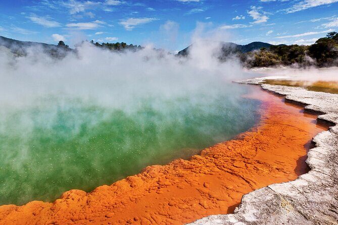 Rotorua Private Tour from Tauranga (up to 11 people) - A Deep Dive into the Rotorua Private Tour