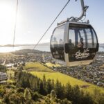 Rotorua Private Tour from Tauranga (up to 15 people) - Authentic Experiences and Traveler Insights