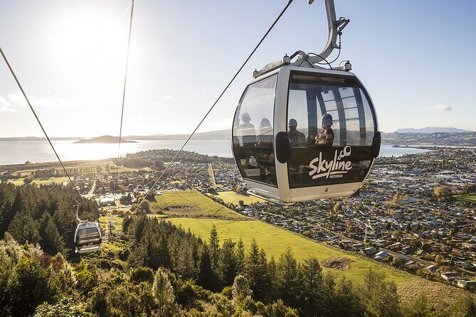 Rotorua Private Tour from Tauranga (up to 15 people) - Authentic Experiences and Traveler Insights