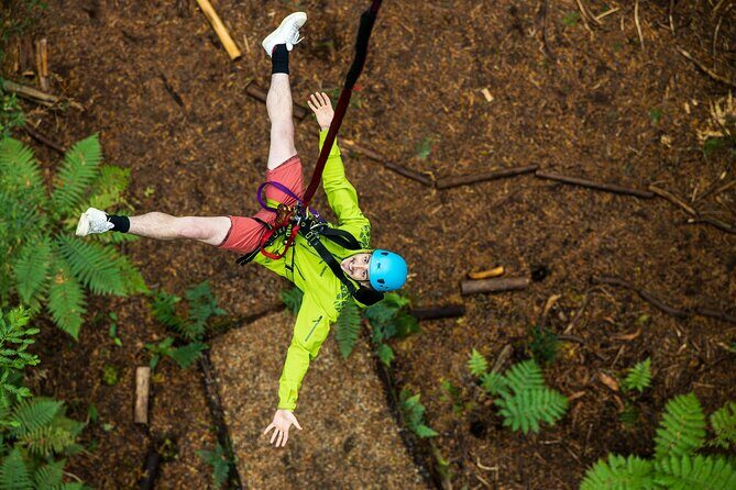 Rotorua: Redwoods Adventure 3-Hours - The Experience: What You’ll Actually Do and Feel