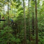 Rotorua: Redwoods Altitude High Ropes Adventure - Who Will Love This Tour?