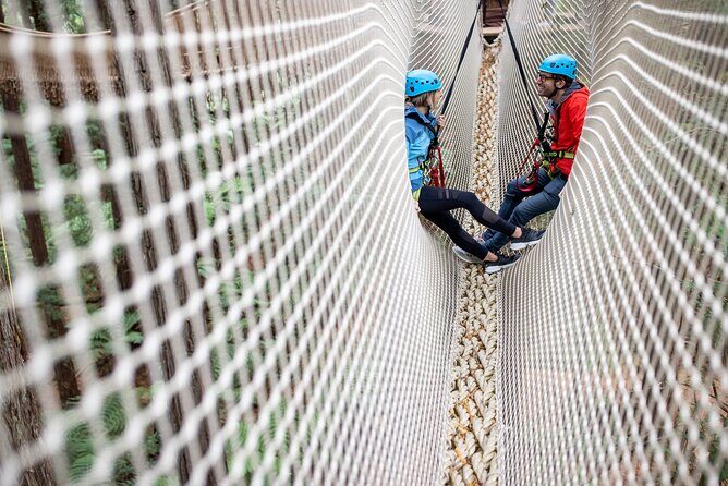 Rotorua: Redwoods Altitude High Ropes Adventure - Who Will Enjoy This Tour?