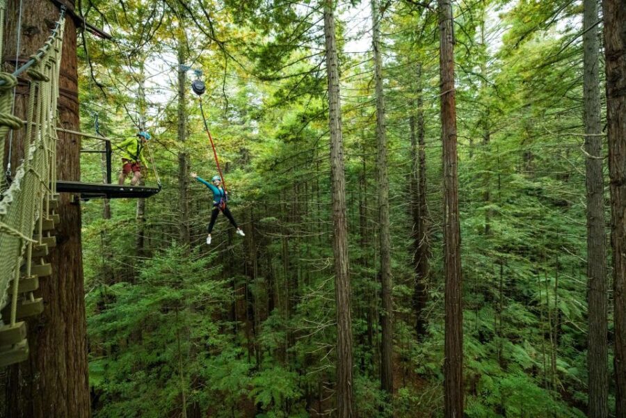 Rotorua: Redwoods Altitude High Ropes Adventure - Who Will Love This Tour?