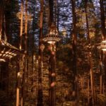 Rotorua: Redwoods Altitude, Nighttime Fast Pass, & Treewalk - Key Points