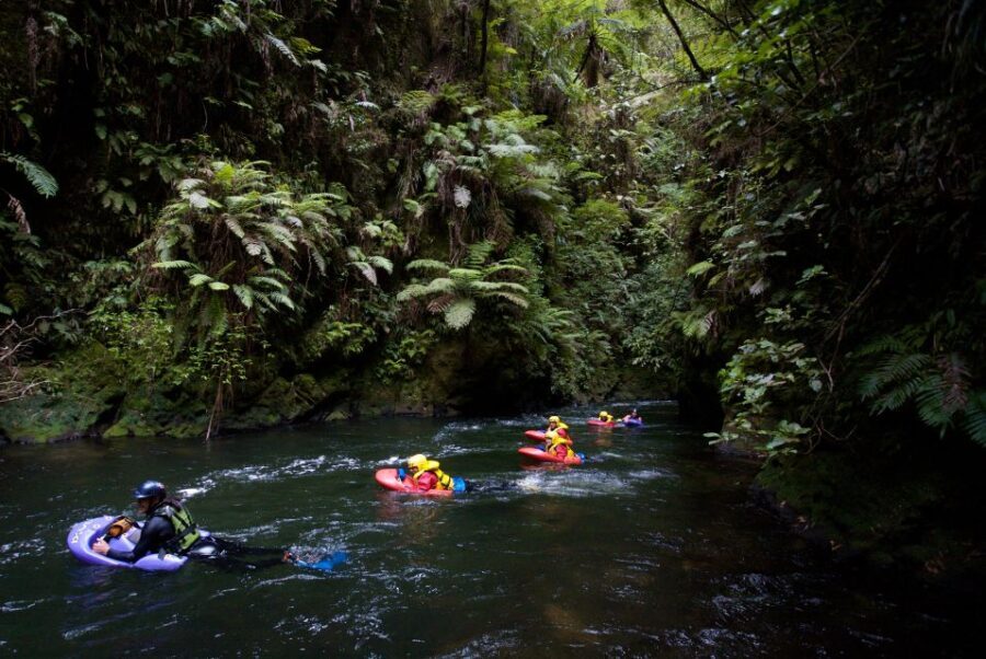 Rotorua Sledging: Kaituna White Water River Board Experience - Who This Tour Is Best For