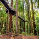 Rotorua & Taupo:Wai-O-Tapu, Redwood Walk & Hukka falls Tour - Day Itinerary Breakdown