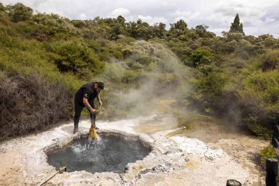 Rotorua: Te Puia Geothermal Valley Tour with Cultural Show - An In-Depth Look at the Tour