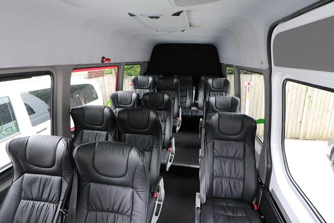 Rotorua to Auckland Afternoon Transfer with Waitomo Glow Worms - Who Is This Tour Best For?