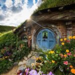 Rotorua to Auckland via Hobbiton Tour with Lunch - One Way - Review of the Tour Experience