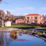 Rotorua Tour from Auckland with buffet Lunch at Skyline Summit - The Itinerary: A Closer Look