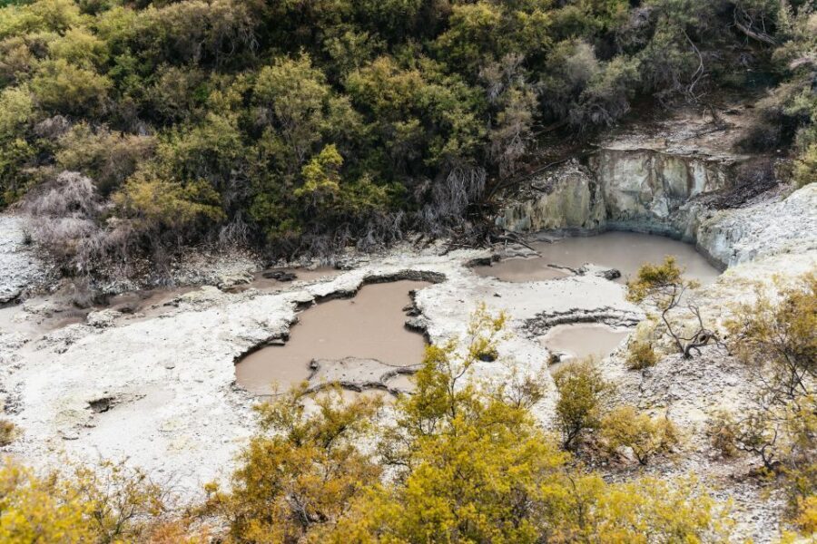 Rotorua: Wai-O-Tapu Geothermal Park Entry Ticket - Who Will Love Wai-O-Tapu?