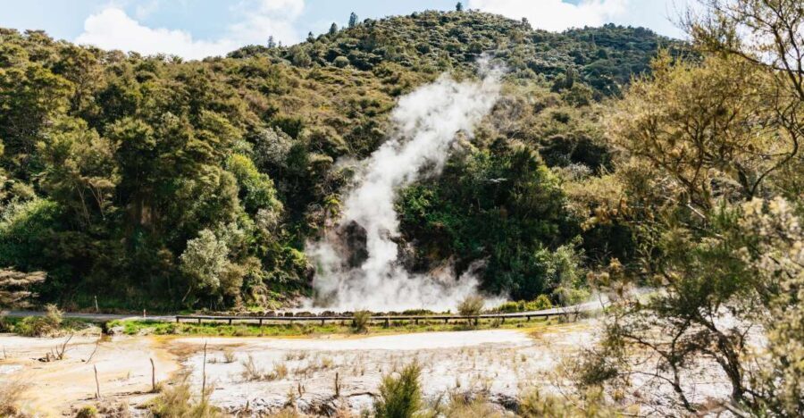 Rotorua: Waimangu Volcanic Valley Ticket & Self-Guided Walk - Who Will Love This Experience?