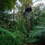 Rotorua's Biggest Zipline Adventure - Ultimate Canopy Tour - Who Will Love This Tour?