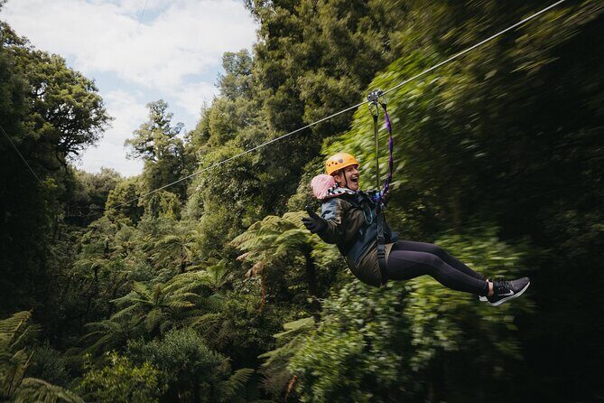 Rotoruas Original 3hr Unique Ancient Forest Zipline Adventure - Why This Tour Offers Great Value
