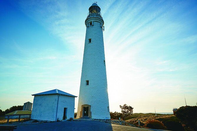 Rottnest Bayseeker Bus Tour from Hillarys Boat Harbour - Who Will Love This Tour?