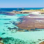 Rottnest Grand Island Package with Ferry, Tour & Light Lunch - The Guided Bus and Tunnel Tour: Covering the Best of the Island