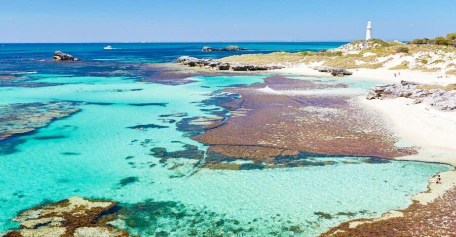 Rottnest Grand Island Package with Ferry, Tour & Light Lunch - The Guided Bus and Tunnel Tour: Covering the Best of the Island