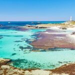 Rottnest Island Bayseeker Day Trip from Fremantle - What Travelers Say