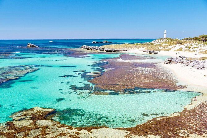Rottnest Island Bayseeker Day Trip from Fremantle - What Travelers Say