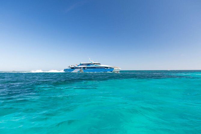 Rottnest Island Bayseeker Day Trip from Perth - Is This Tour Worth It?