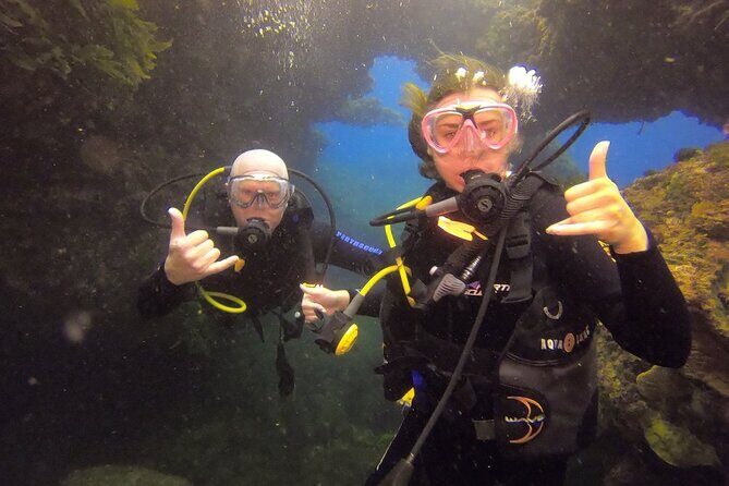 Rottnest Island Boat Dive Day Trip including Lunch - Who Should Consider This Tour?