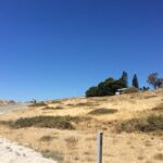 Rottnest Island ECO E Bike Tour - The Sum Up