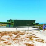 Rottnest Island: Grand Bus and Train Tour with Lunch - What to Expect from the Tour