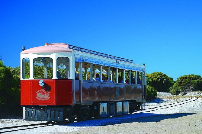 Rottnest Island Grand Tour Including Lunch and Historical Train Ride - Final Thoughts: Who Will Love This Tour?
