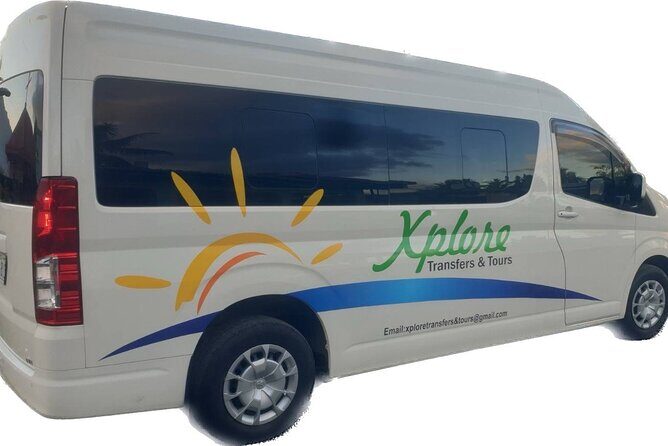 Round Trip Transfer-Nadi Airport to Denarau Island Resorts - The Experience on Arrival and Departure
