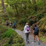 Routeburn Track Guided Hike (Full Day) - What Sets This Tour Apart