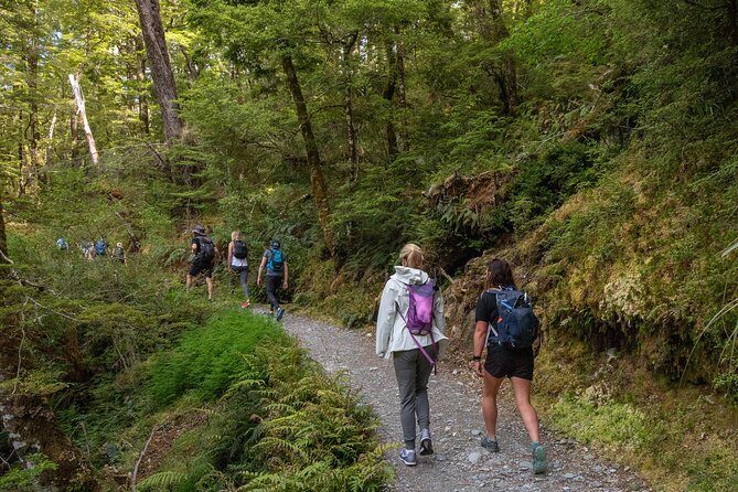 Routeburn Track Guided Hike (Full Day) - What Sets This Tour Apart