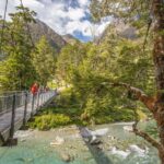 Routeburn Track Guided Walk (Half-Day) - Key Points