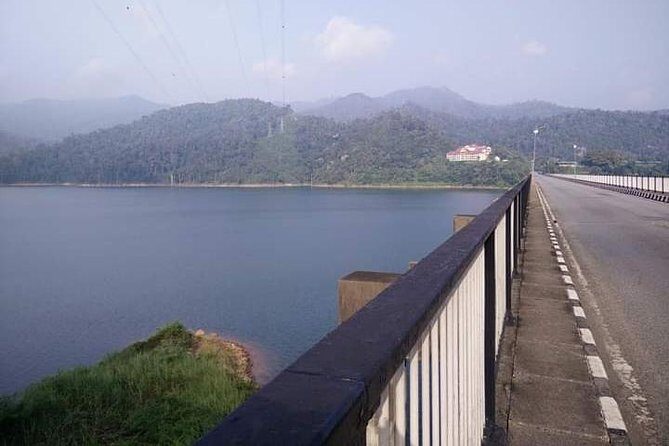 Royal Belum Transfer from Kuala Lumpur - The Destination: Royal Belum Rainforest