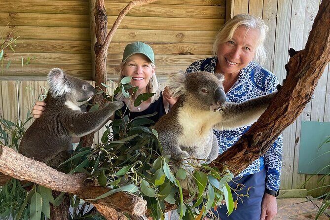 Royal National Park Hike, Swim and Wildlife Tour - What Travelers Are Saying